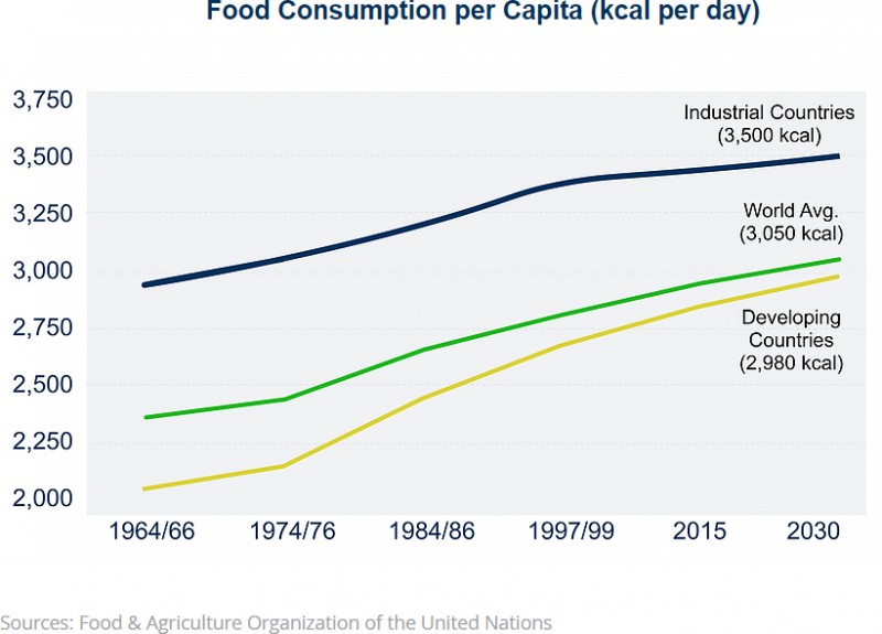 Global Food Challenges